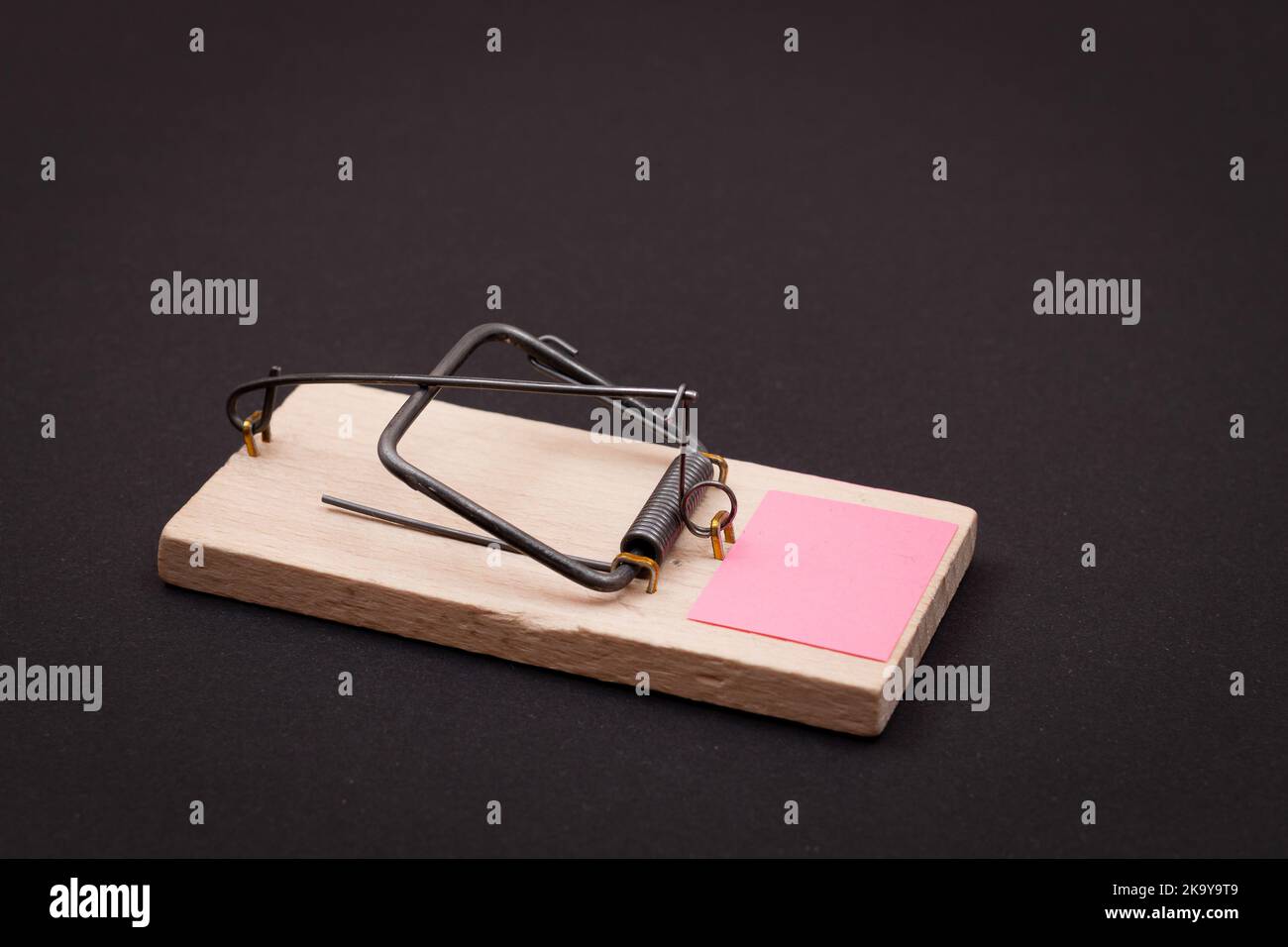 Feuille de papier vierge rose en bois Mousetrap - gabarit. Petit papier ...