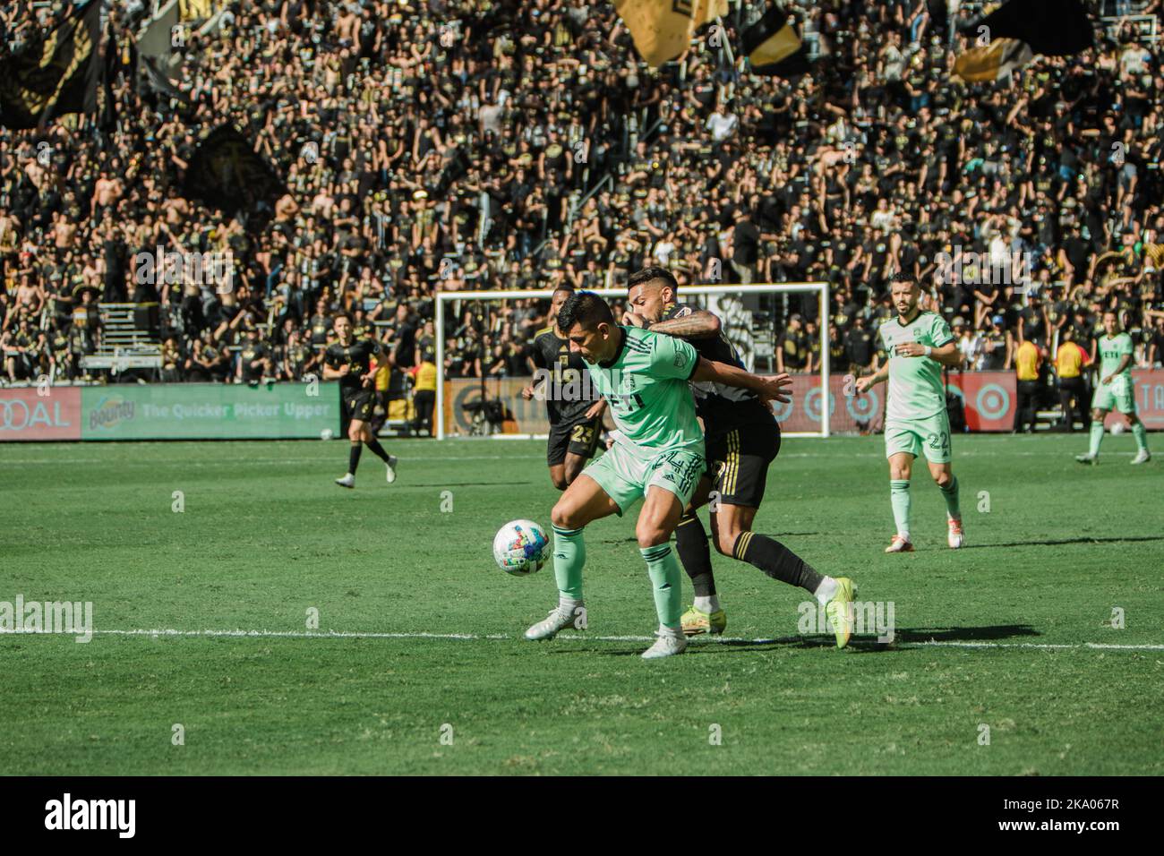 Nick cave au stade Banque de photographies et d’images à haute ...