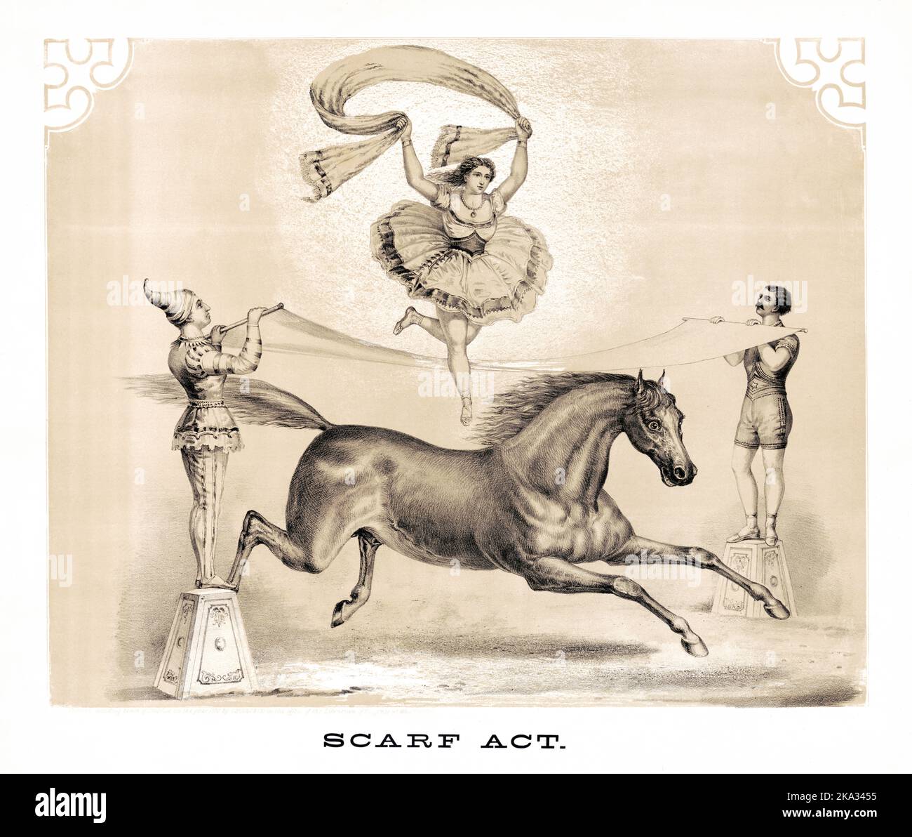 Artistes de cirque - une artiste de cirque féminine à cheval sur un ...