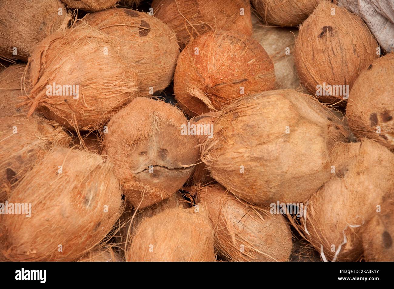 Haiti food Banque de photographies et d’images à haute résolution - Alamy