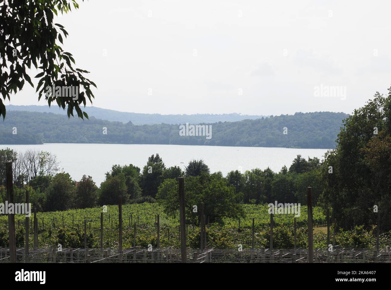 Lago di viverone Banque de photographies et d’images à haute résolution ...