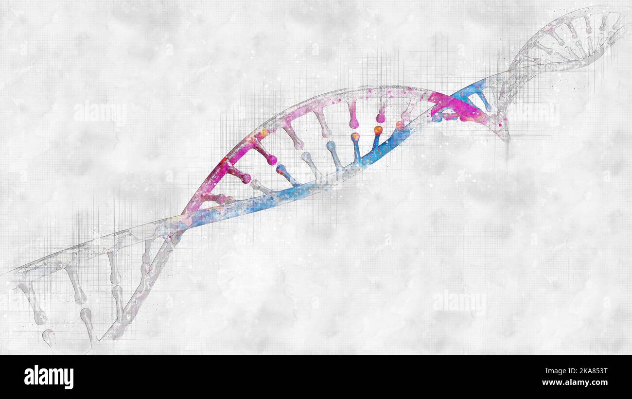 L'hélice de l'ADN, l'acide désoxyribonucléique est une chaîne de ...