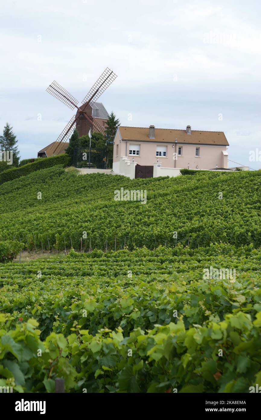 Champagne mumm Banque de photographies et d’images à haute résolution ...