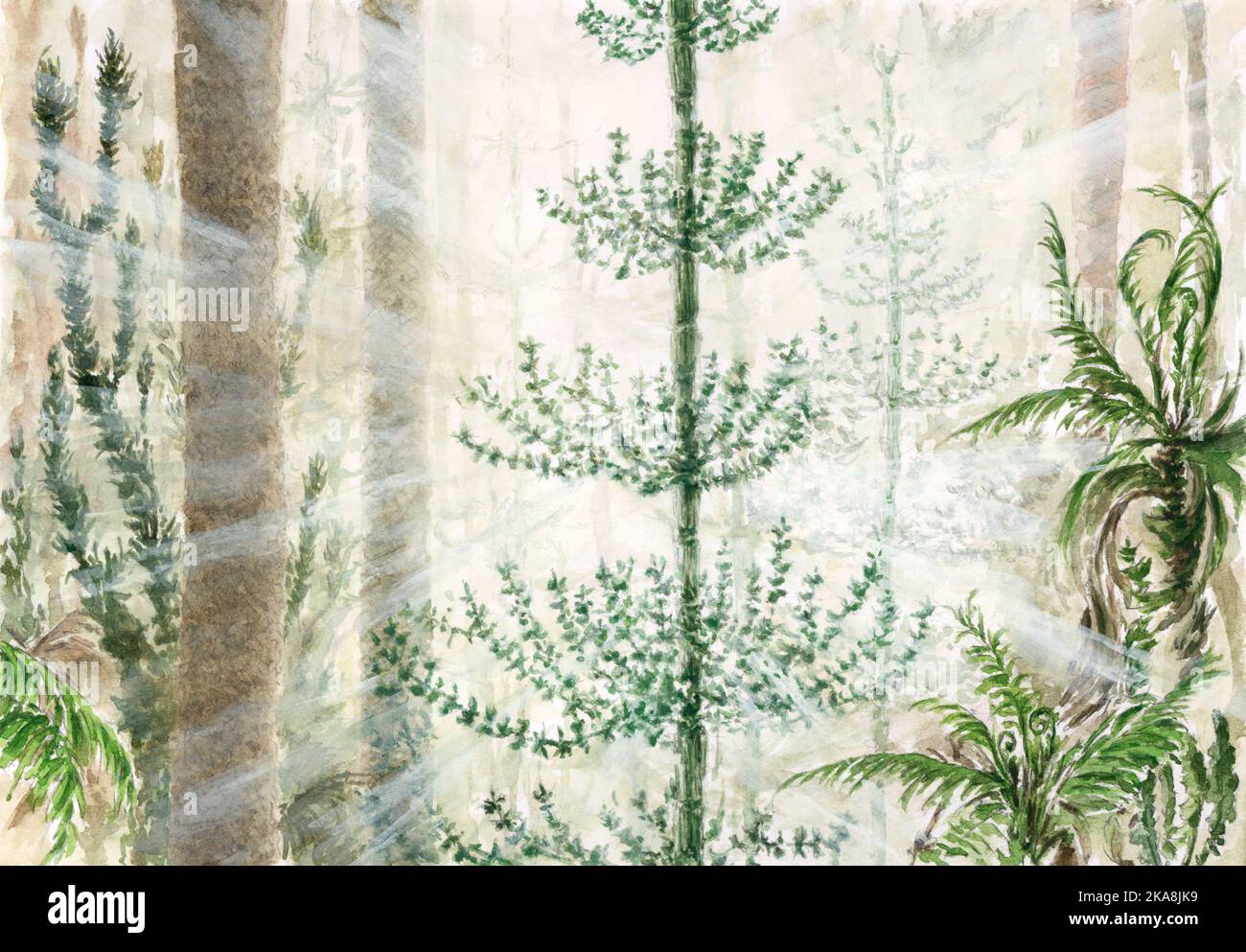 Carboniferous coal forest Banque de photographies et d’images à haute ...