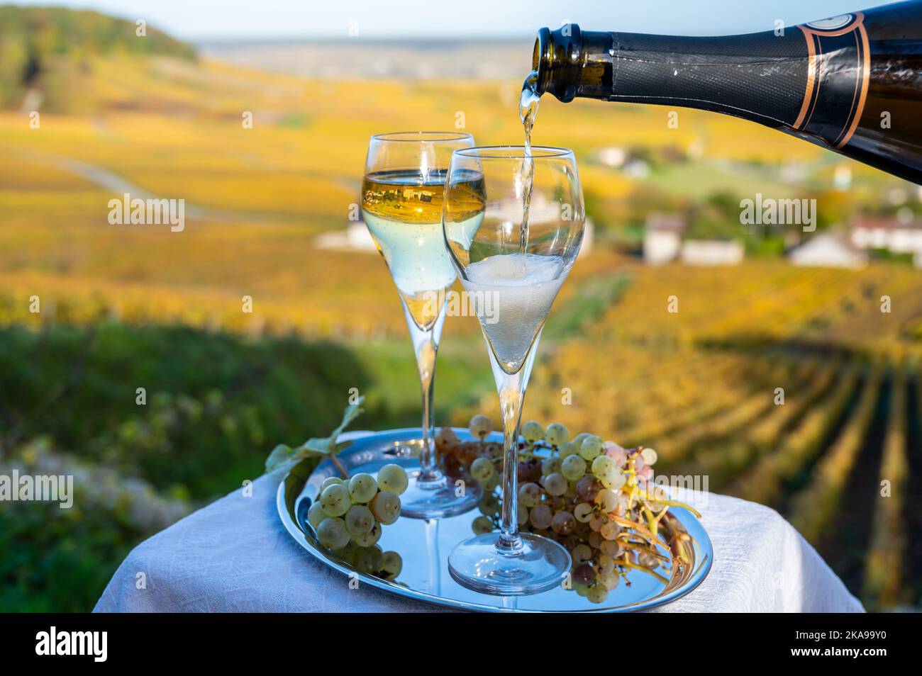 Dégustation de vin blanc mousseux français avec bulles de champagne sur ...