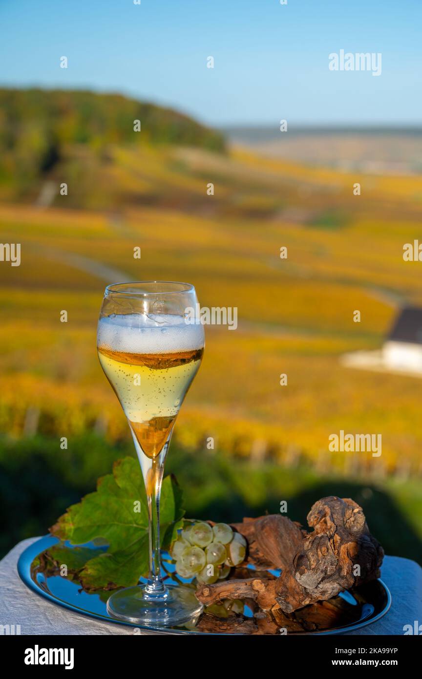 Dégustation de vin blanc mousseux français avec bulles de champagne sur ...