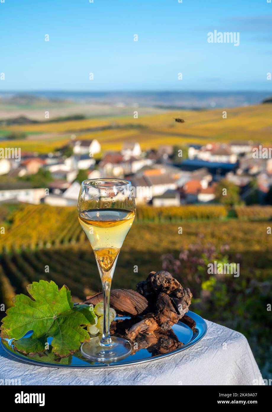 Dégustation de vin blanc mousseux français avec bulles de champagne sur ...