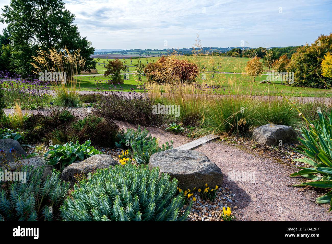Rhs hyde hall dry garden Banque de photographies et d’images à haute ...