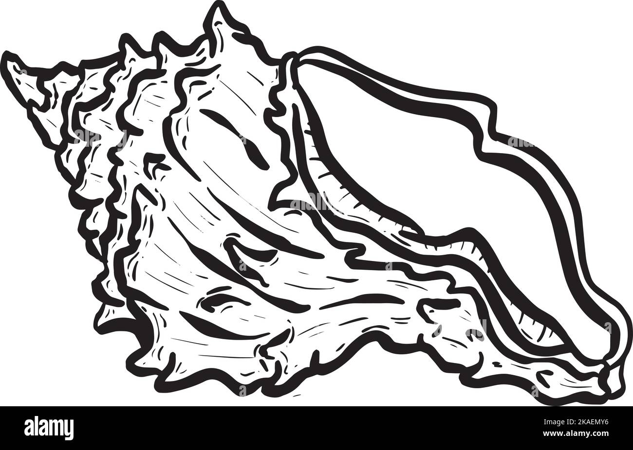 Conch Sea Snach Shell Outline style dessin de dessin animé logo en ...