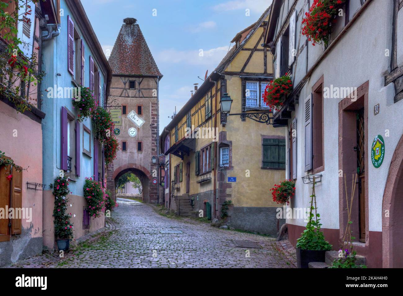 Riesling alsace Banque de photographies et d’images à haute résolution ...