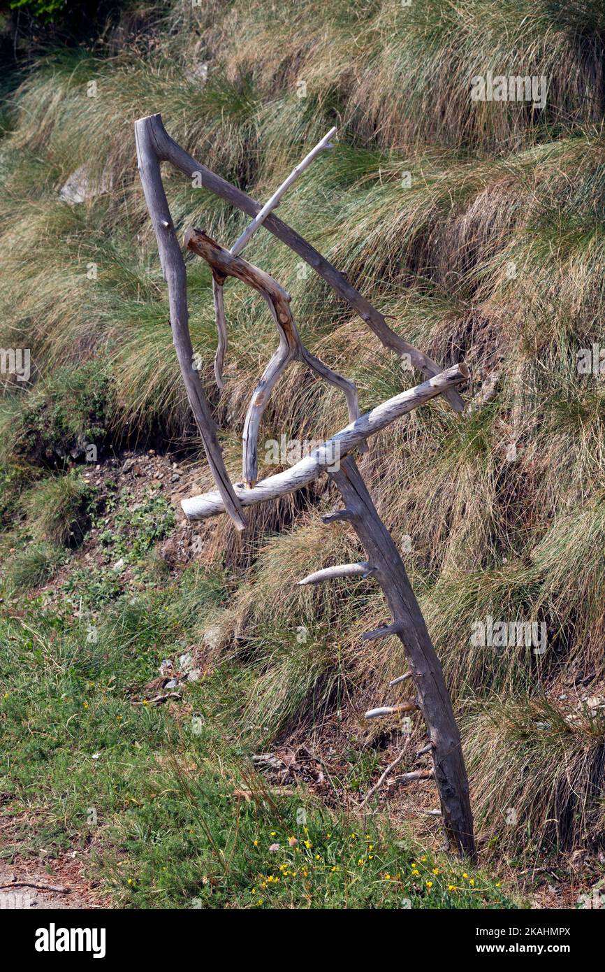 Fabrice pressigout Banque de photographies et d’images à haute résolution - Alamy