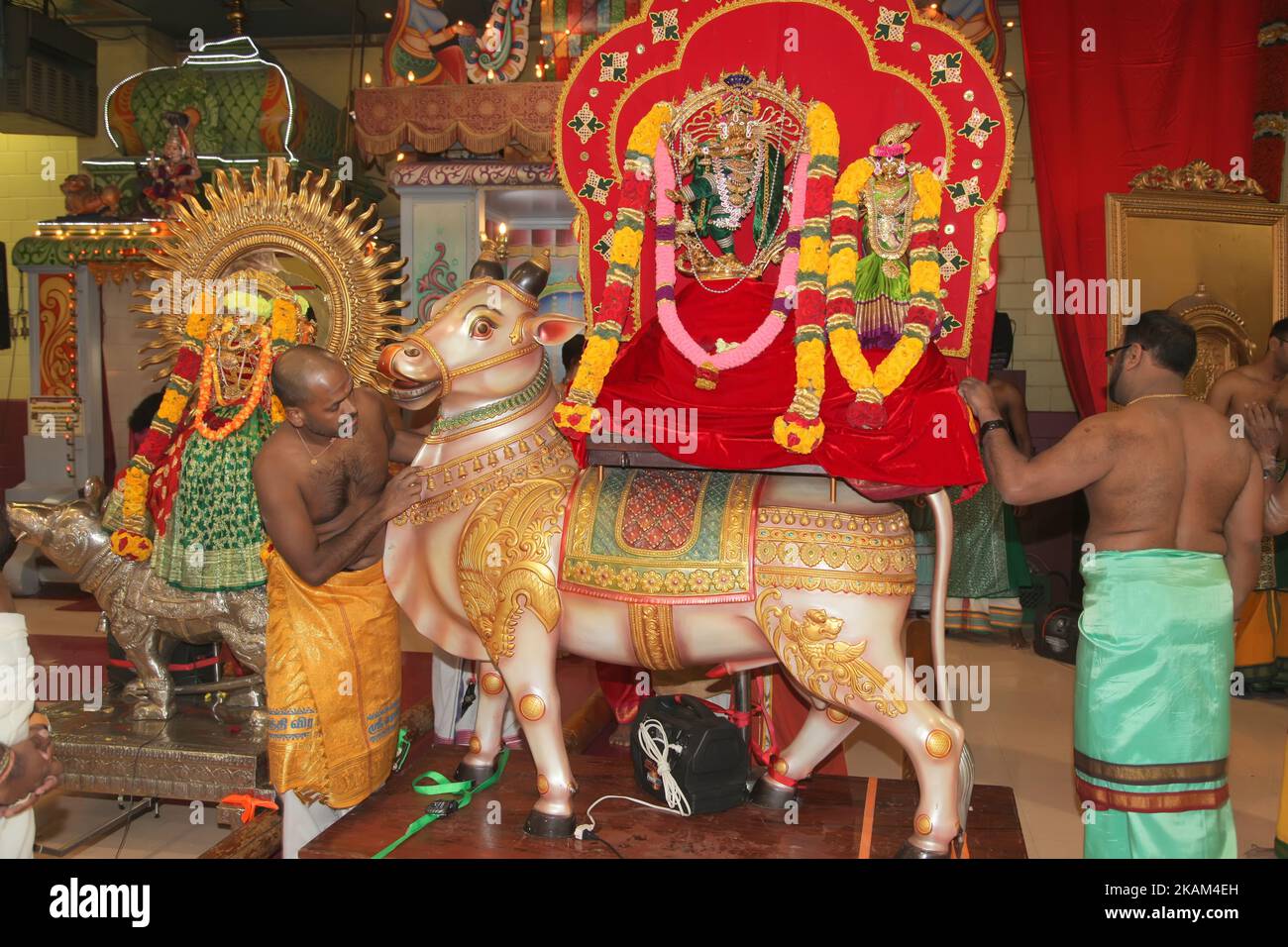 Nandi oriental Banque de photographies et d’images à haute résolution ...