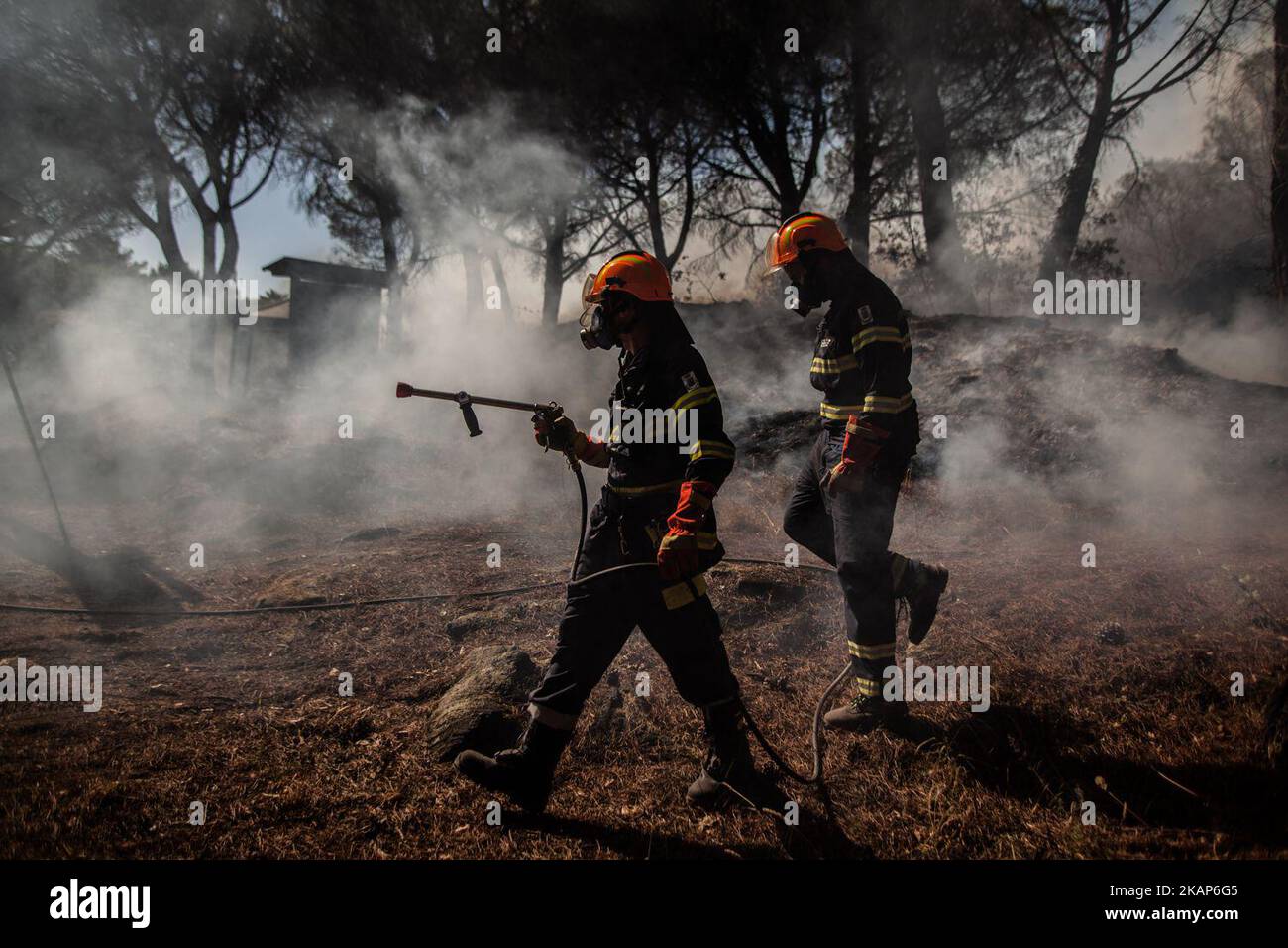 Les incendies de forêt de Naples se sont rapidement propagé sur le ...