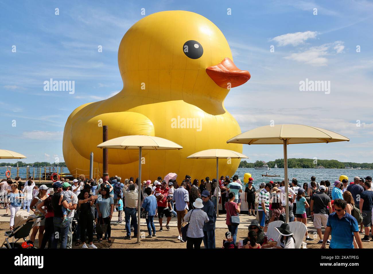 Le plus grand canard de caoutchouc au monde est arrivé à Toronto, en ...