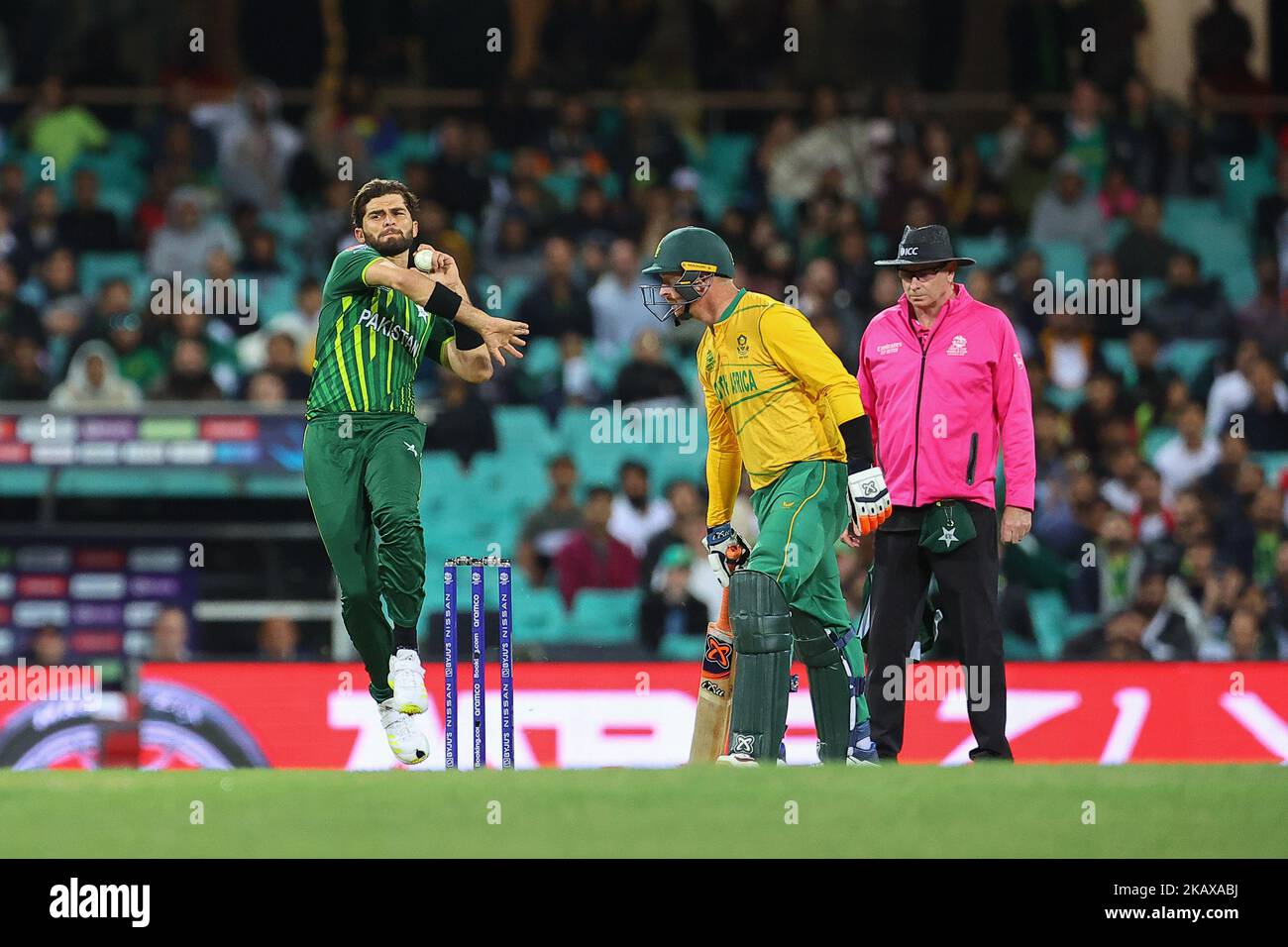 SCG, Nouvelle-Galles du Sud, Australie : 3rd novembre 2022 ; coupe du ...