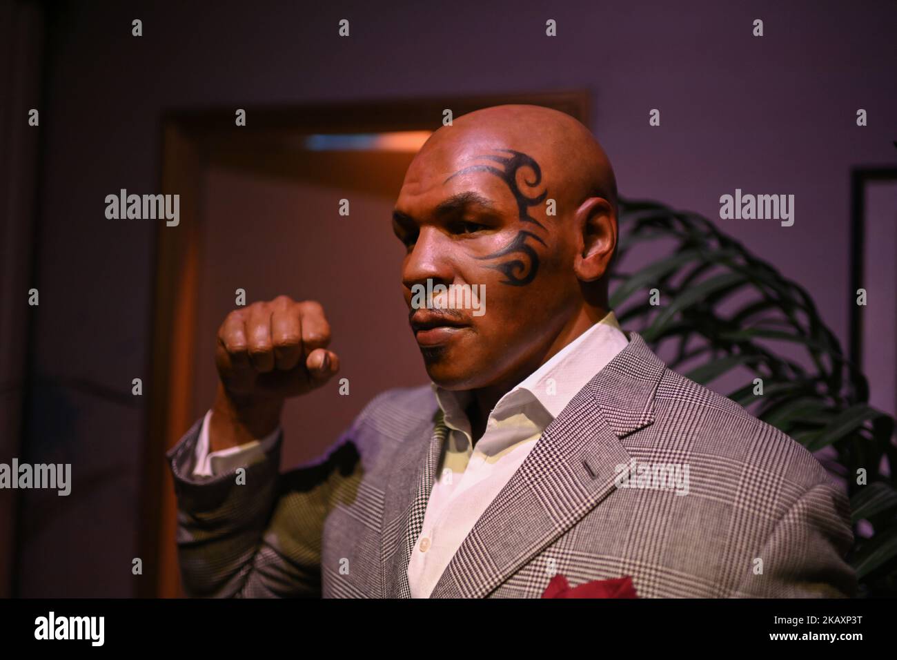Mike tyson Banque de photographies et d’images à haute résolution - Alamy