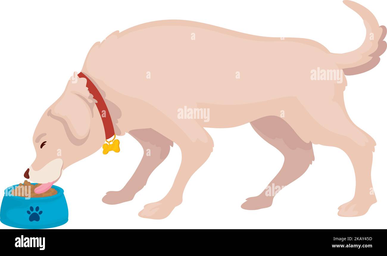 Petit chien en train de manger Banque d'images vectorielles - Alamy