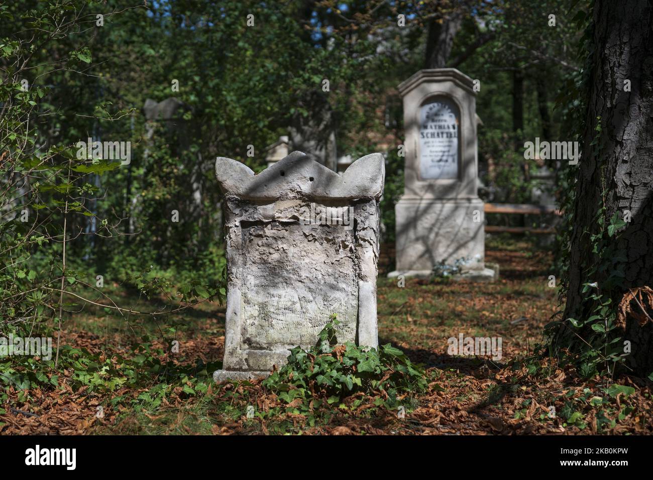 Cimetière Saint-Marx (Sankt Marxer Friedhof) à Vienne, utilisé de 1784 ...