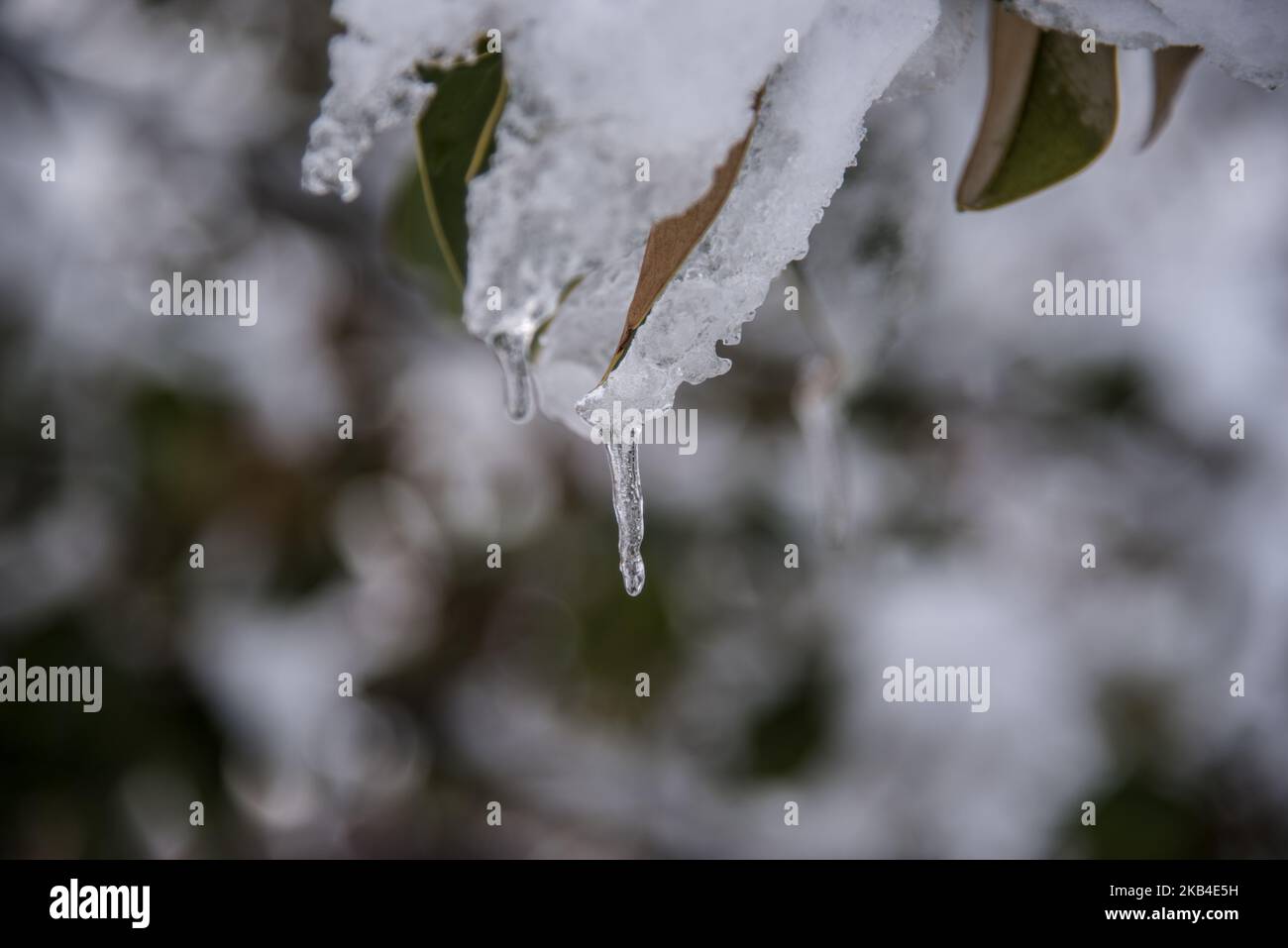 Le phénomène météorologique 'Tilemachos' avec des chutes de neige même ...