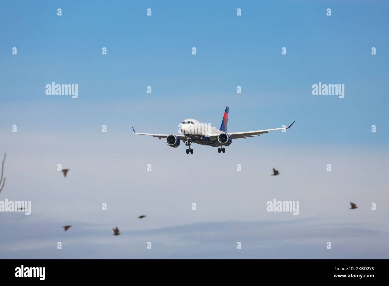 Airbus a220 cockpit Banque de photographies et d’images à haute ...