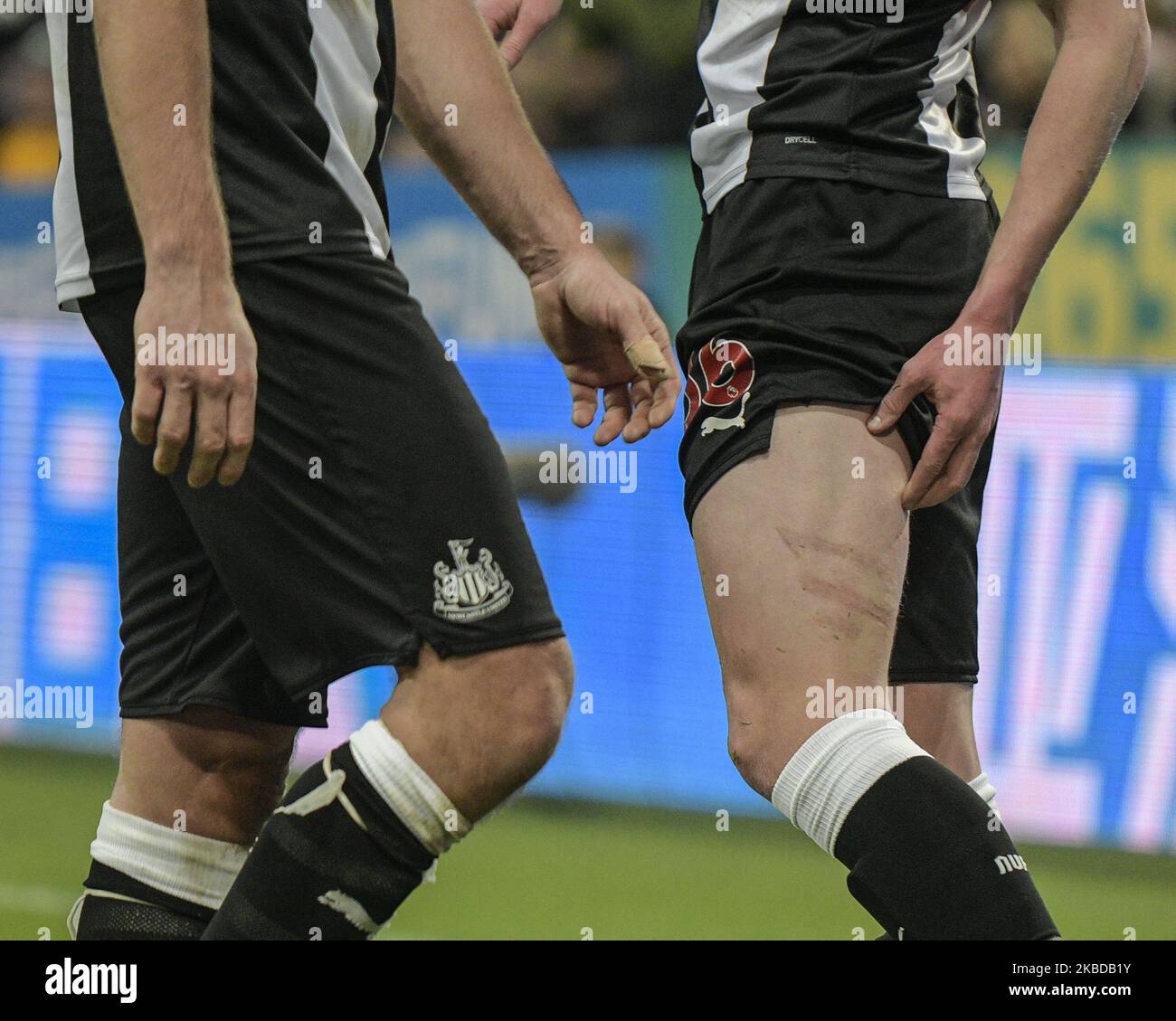 Sean Longstaff (36) de Newcastle United examine les marques de clous ...