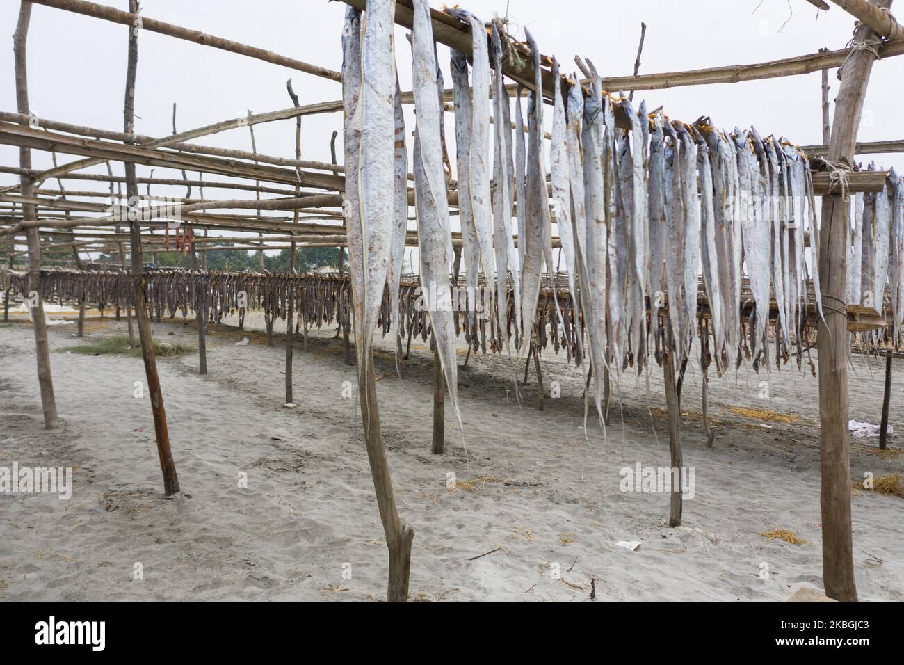 Le poisson sec est une nourriture commune et favorite à Kuakata, un ...