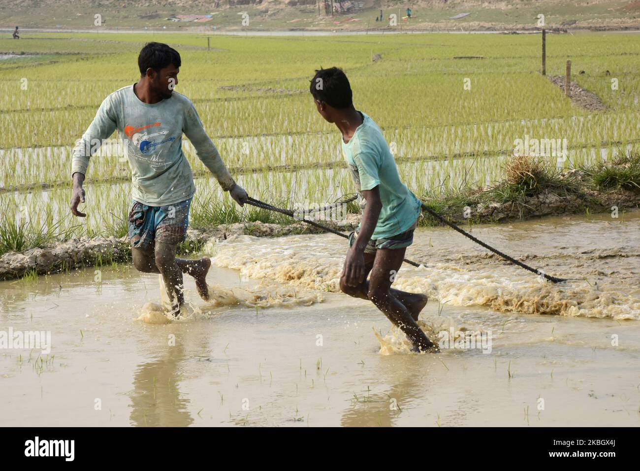 Premier producteur de riz Banque de photographies et d’images à haute ...