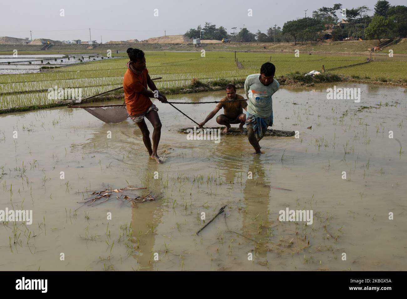 Premier producteur de riz Banque de photographies et d’images à haute ...