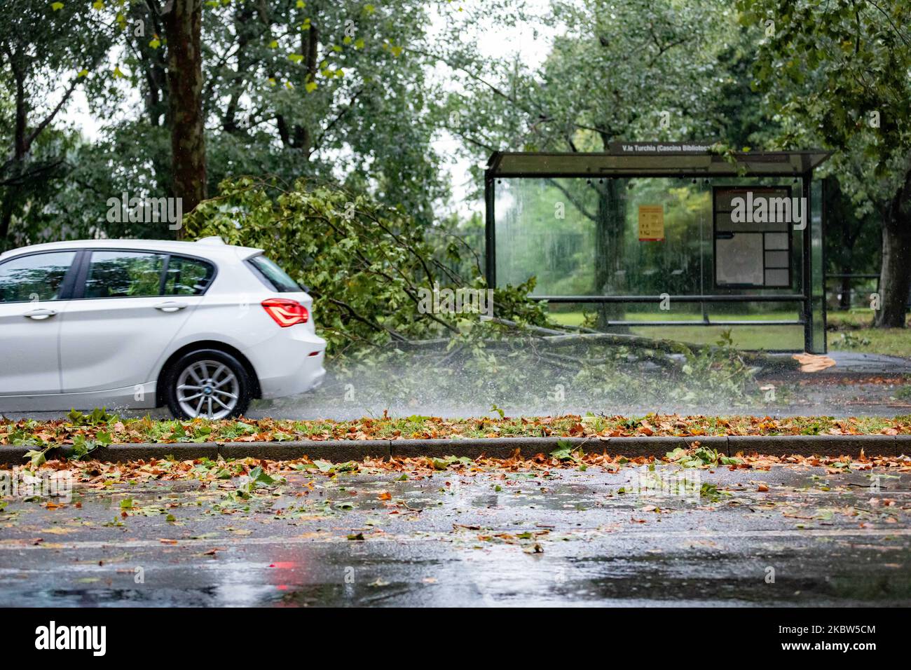 Un arbre tombé devant un arrêt de bus pendant la tempête et les inondations de la rivière Seveso ...