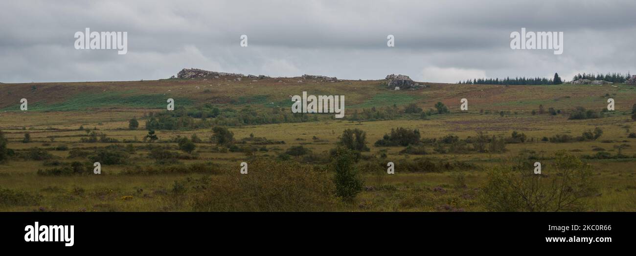 Panorama de paysage vert magnifique avec prairie sauvage pleine de ...