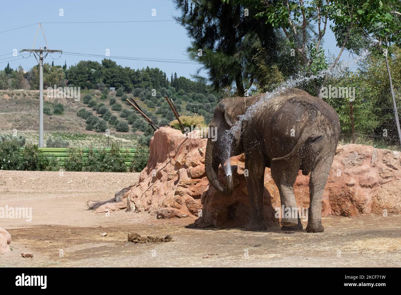 Vue sur le plus grand parc zoologique Attica de Grèce sur 25 mai 2021 ...