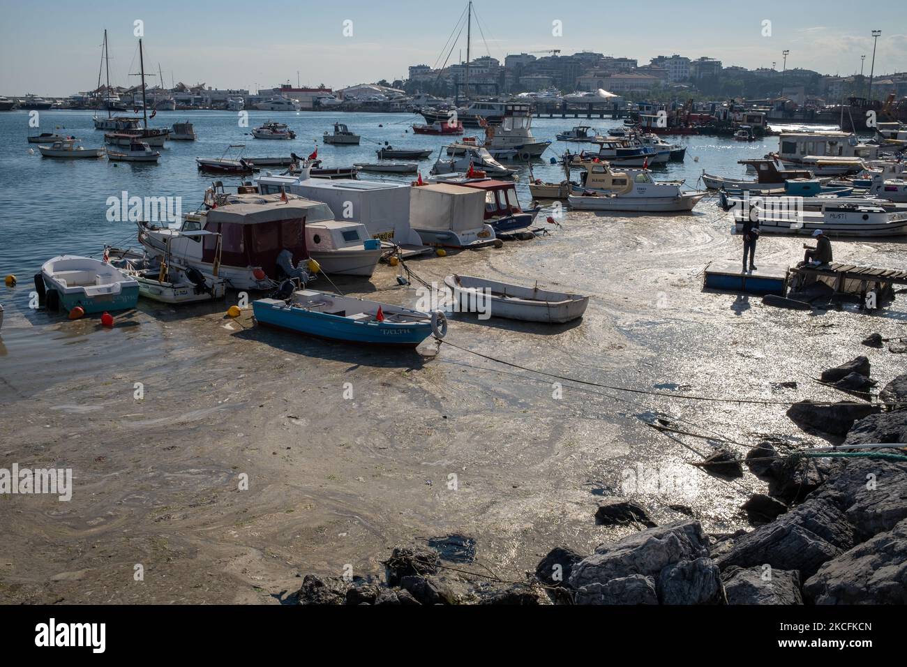 La surface de la mer de Marmara couverte de la mer de Snot (ou mucilage ...
