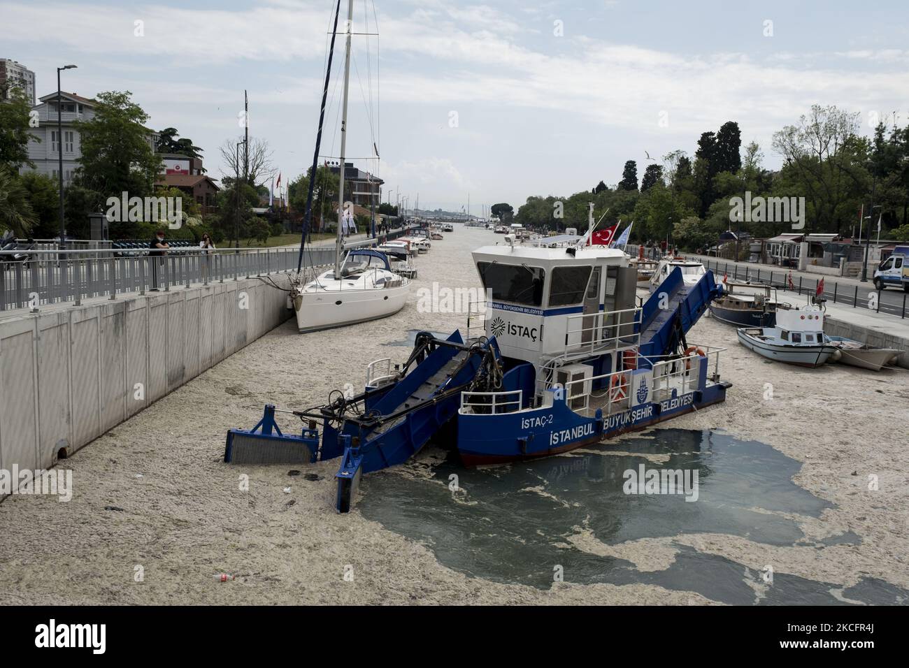 La photo montre mucilage couvre la surface de la mer de Marmara, côte d ...