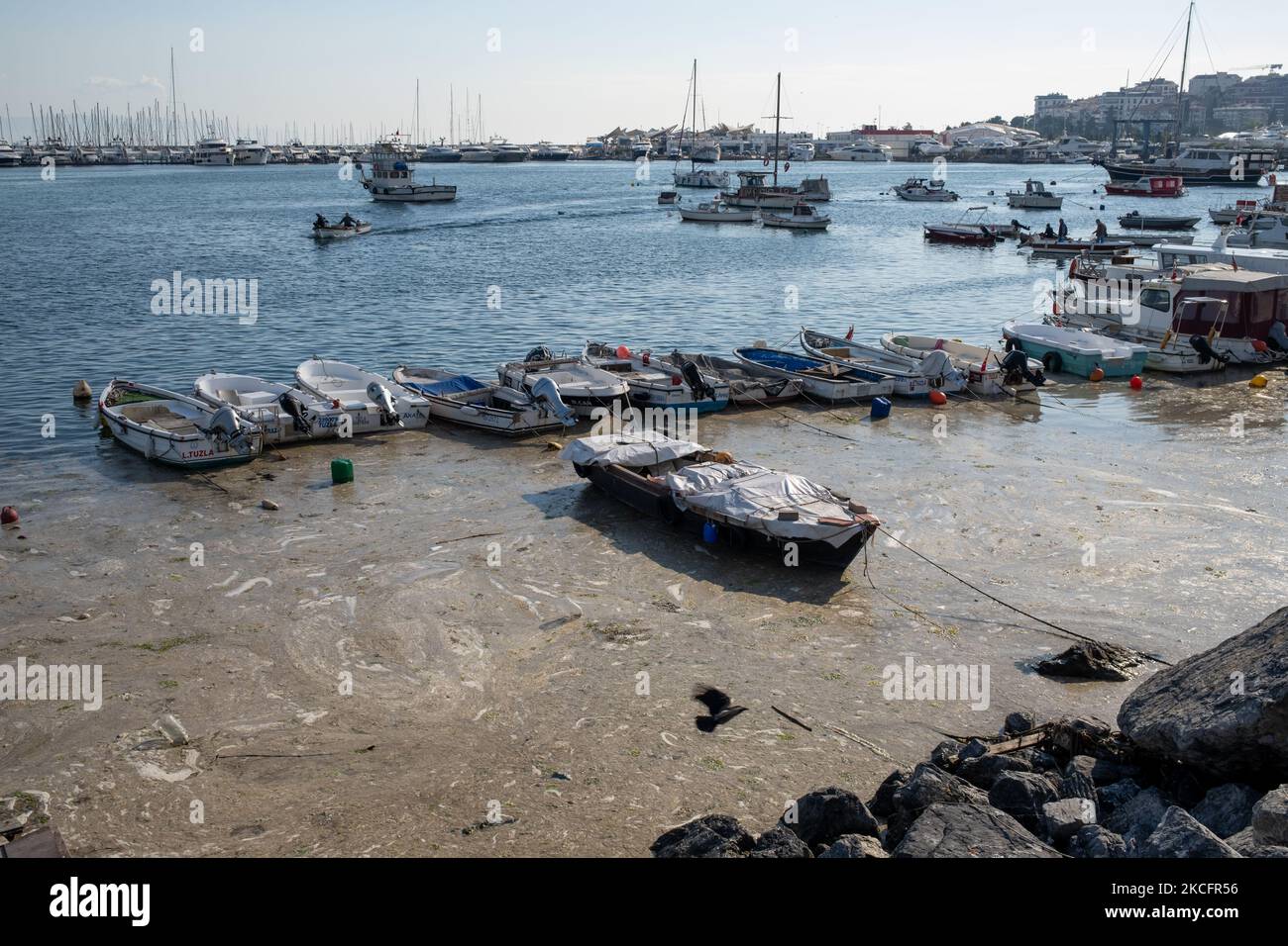 Mer de marama Banque de photographies et d’images à haute résolution ...