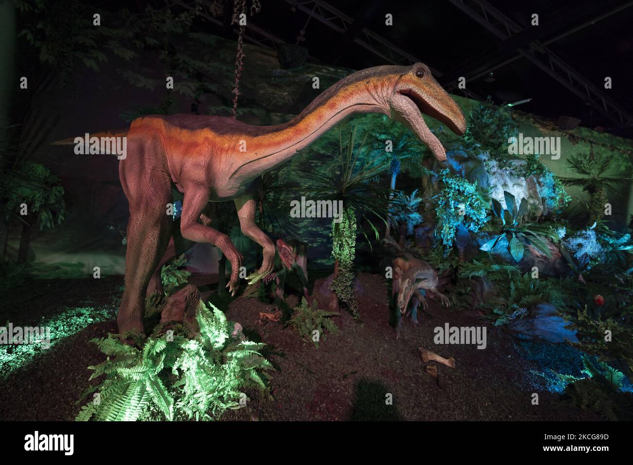 Grande exposition mondiale de dino Banque de photographies et d’images à haute résolution - Alamy