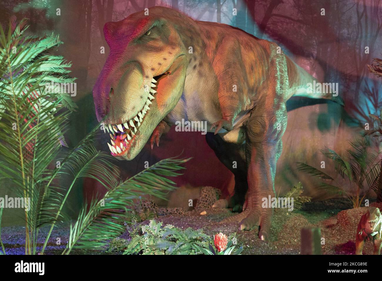 Grande exposition mondiale de dino Banque de photographies et d’images à haute résolution - Alamy