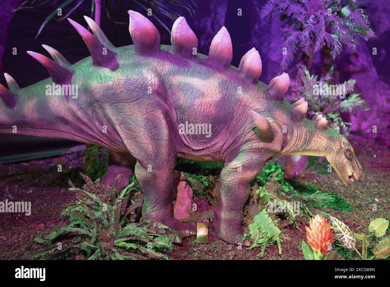 Grande exposition mondiale de dino Banque de photographies et d’images à haute résolution - Alamy