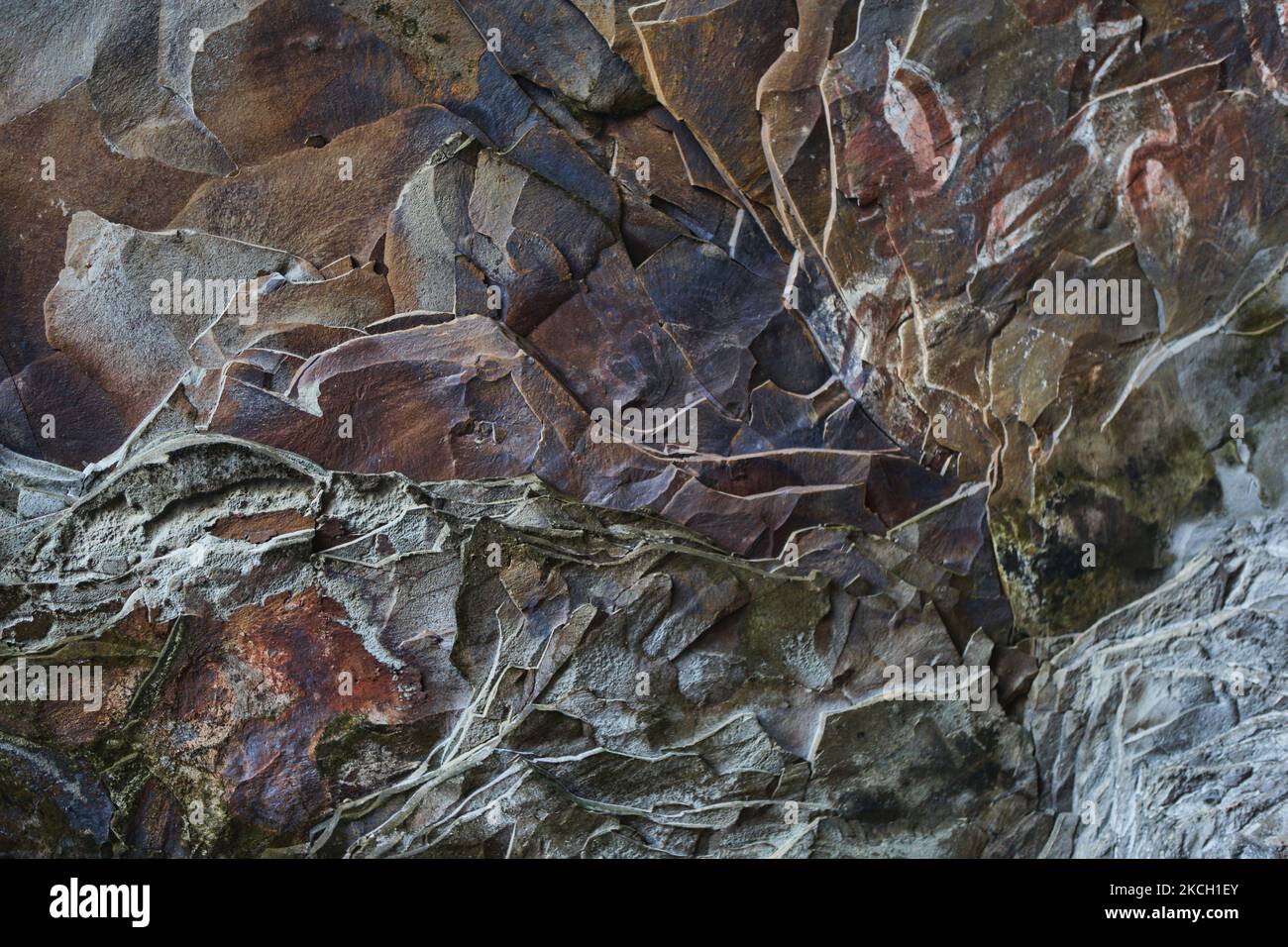 La chair humaine Banque de photographies et d’images à haute résolution ...