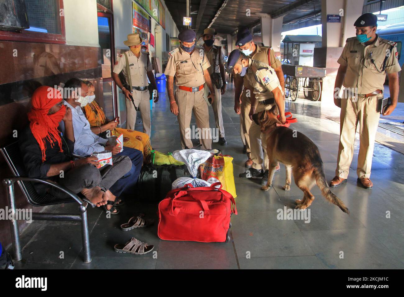 Personnel de police avec un chien sniffer pendant le contrôle de ...