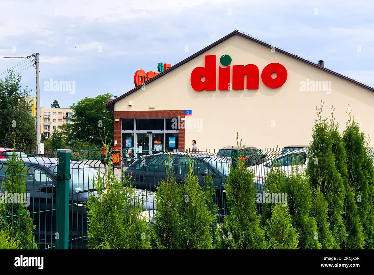 Dino polska Banque de photographies et d’images à haute résolution - Alamy