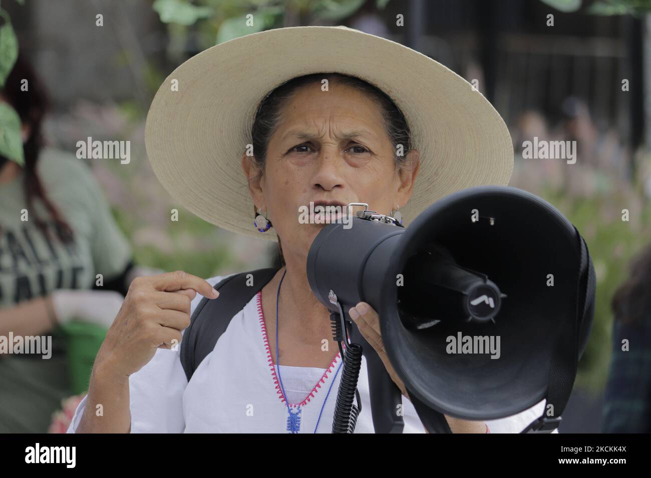 Jesusa Rodríguez, activiste et ancienne sénatrice du parti Movimiento ...