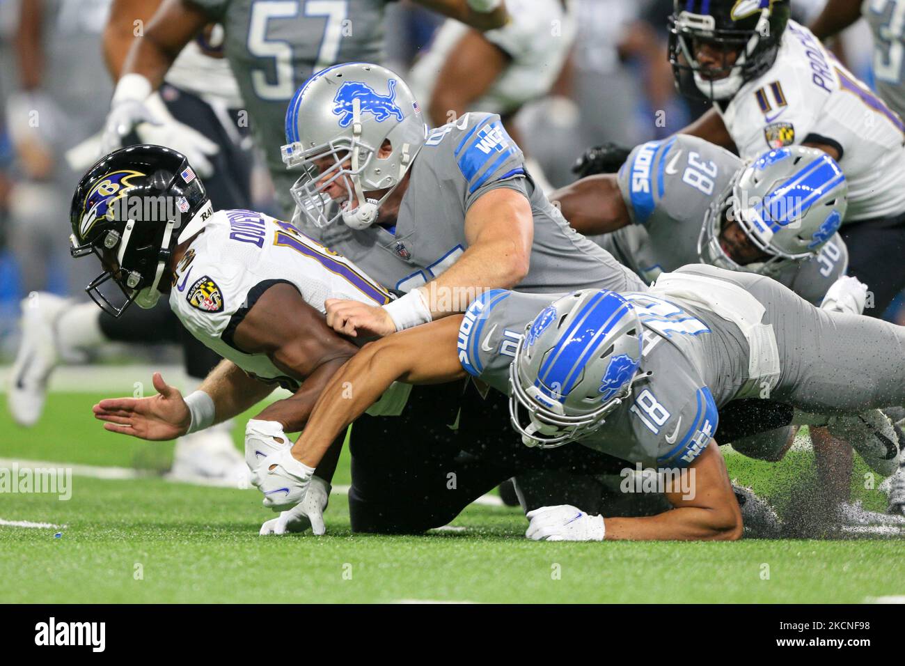Lions de detroit vivaneau long scott daly Banque de photographies et d ...