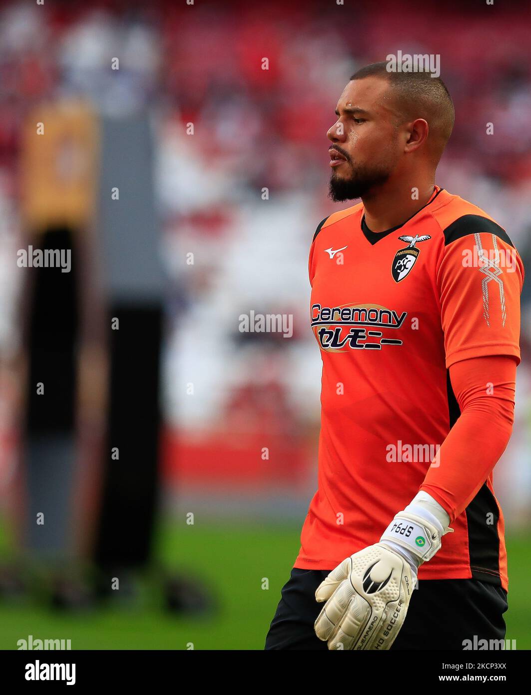 Ligue portugal Banque de photographies et d’images à haute résolution ...