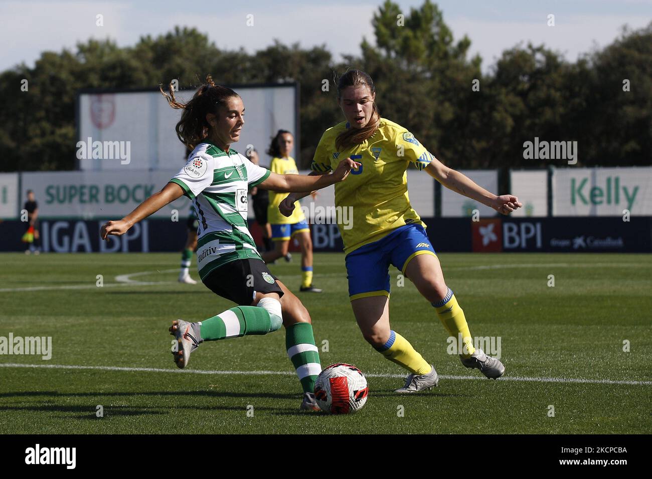 Mariana rosa Banque de photographies et d’images à haute résolution - Alamy