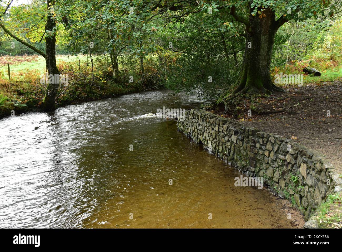 Bovey tracey and dartmoor Banque de photographies et d’images à haute ...