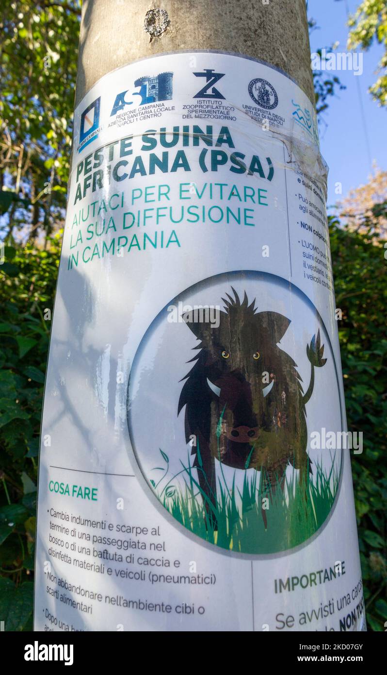 Vecteur asf Banque de photographies et d’images à haute résolution - Alamy