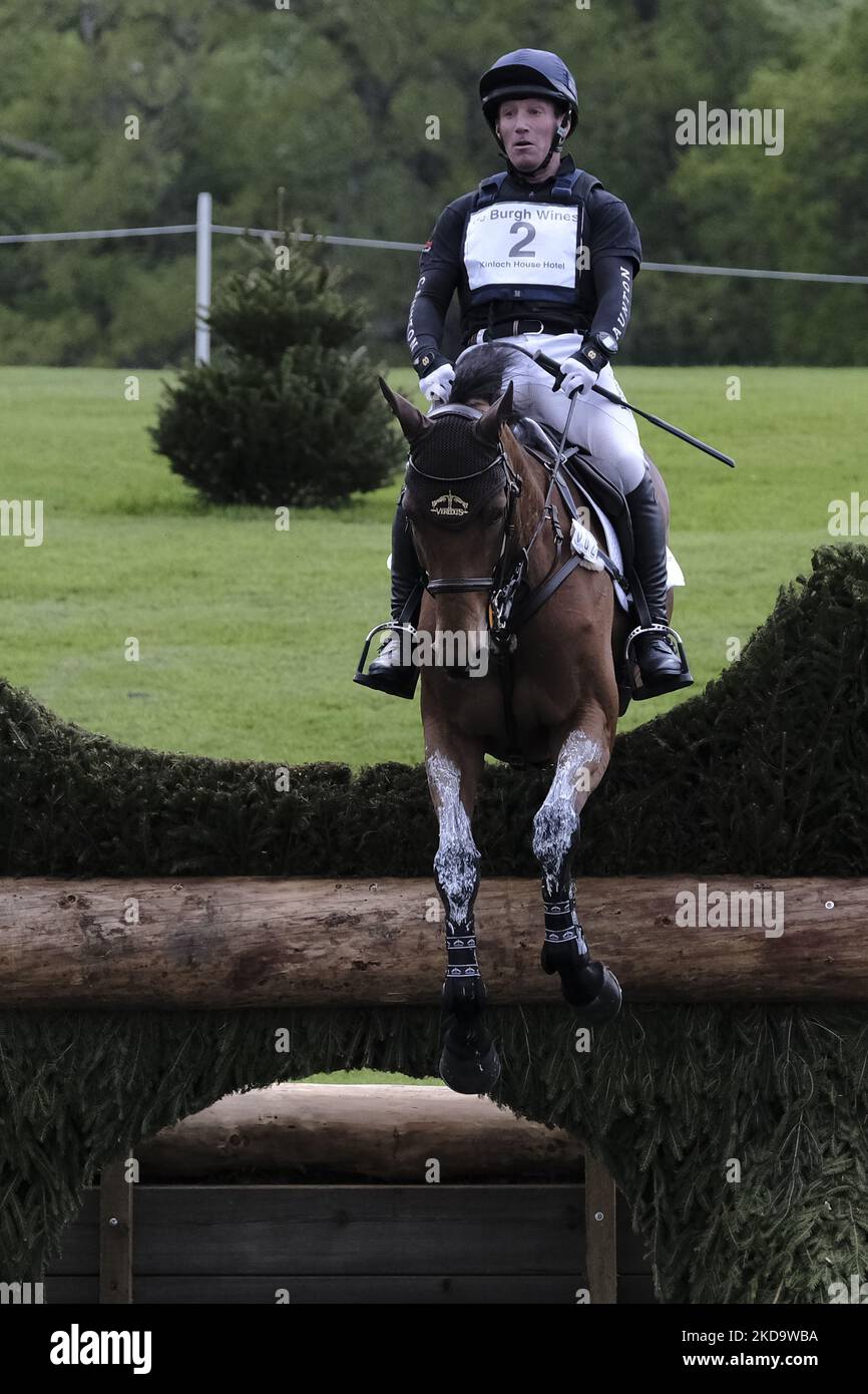 Cheval fou 3 Banque de photographies et d’images à haute résolution - Alamy