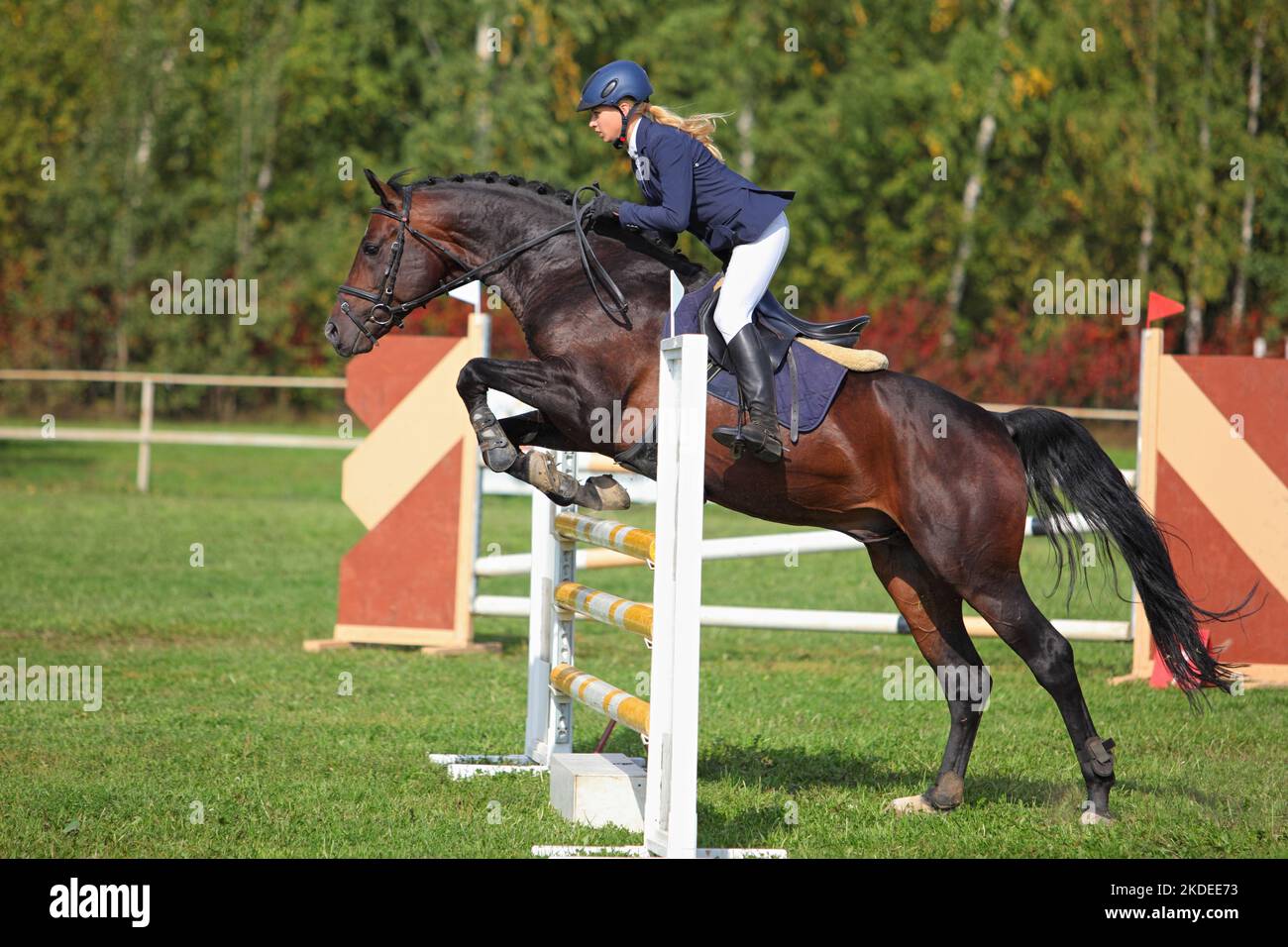 Cheval saut Banque de photographies et d’images à haute résolution - Alamy
