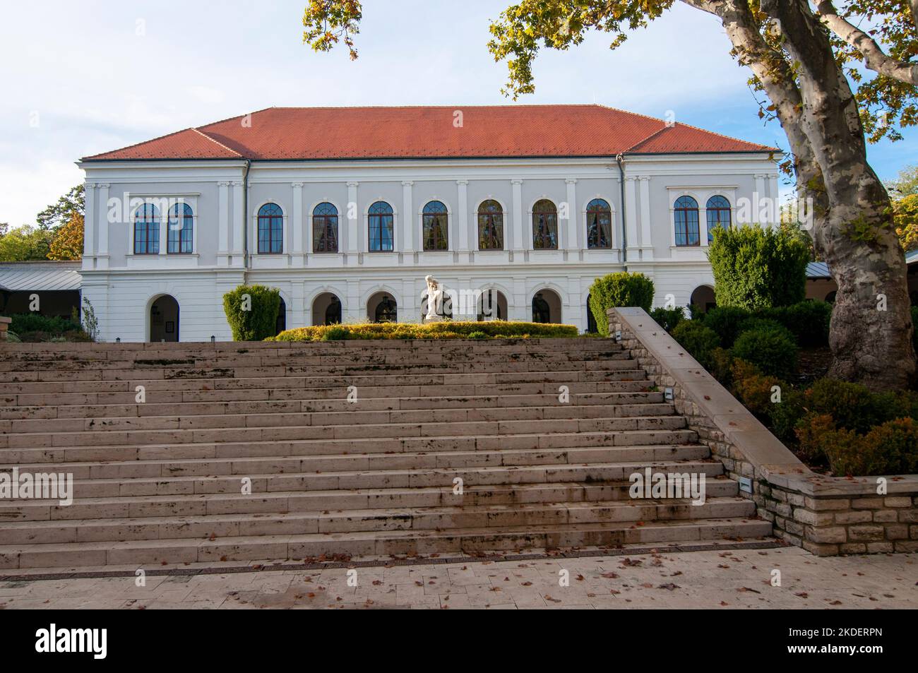 Hungarian hospital Banque de photographies et d’images à haute ...