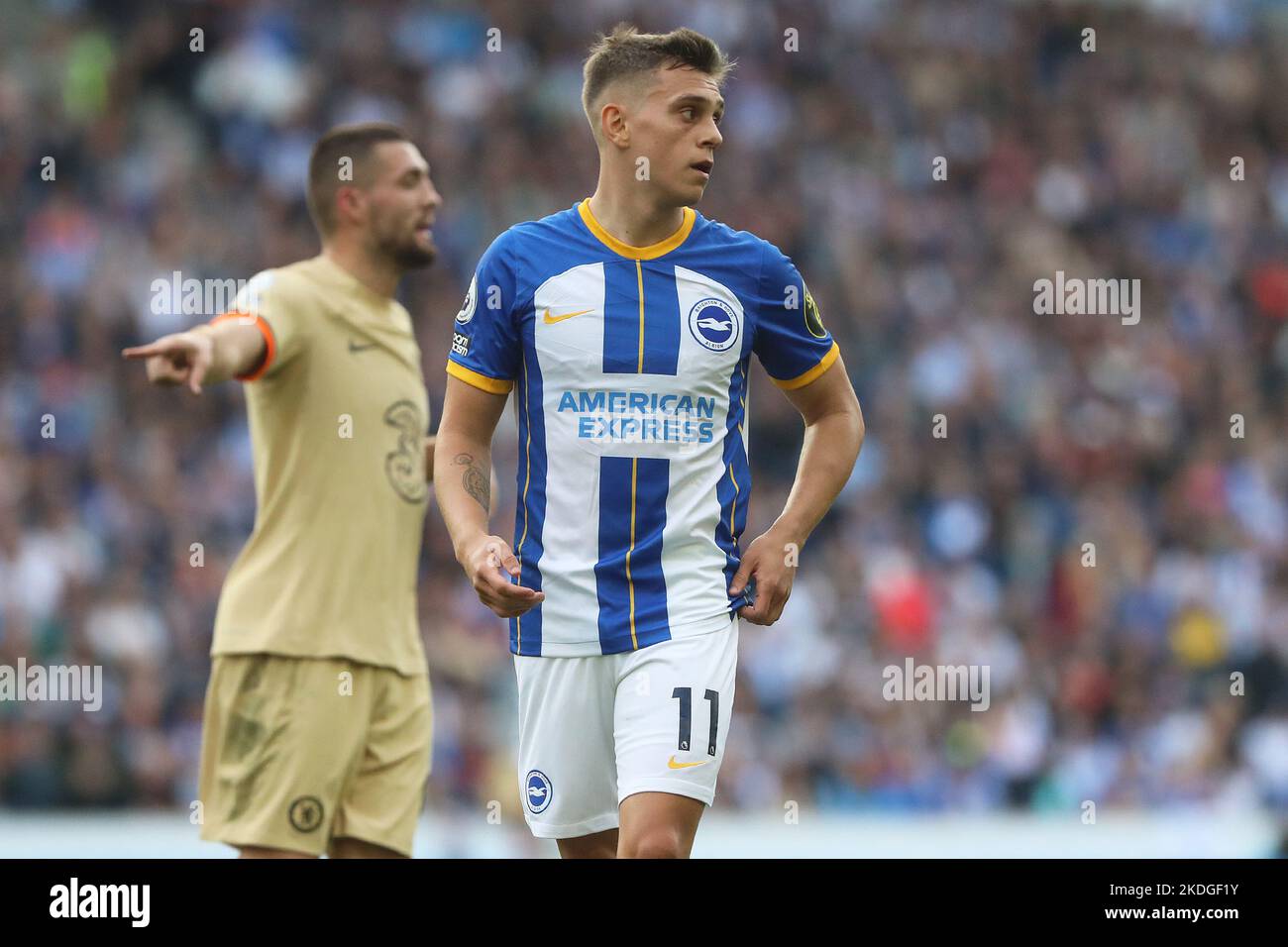 Portrait de leandro trossard Banque de photographies et d’images à ...